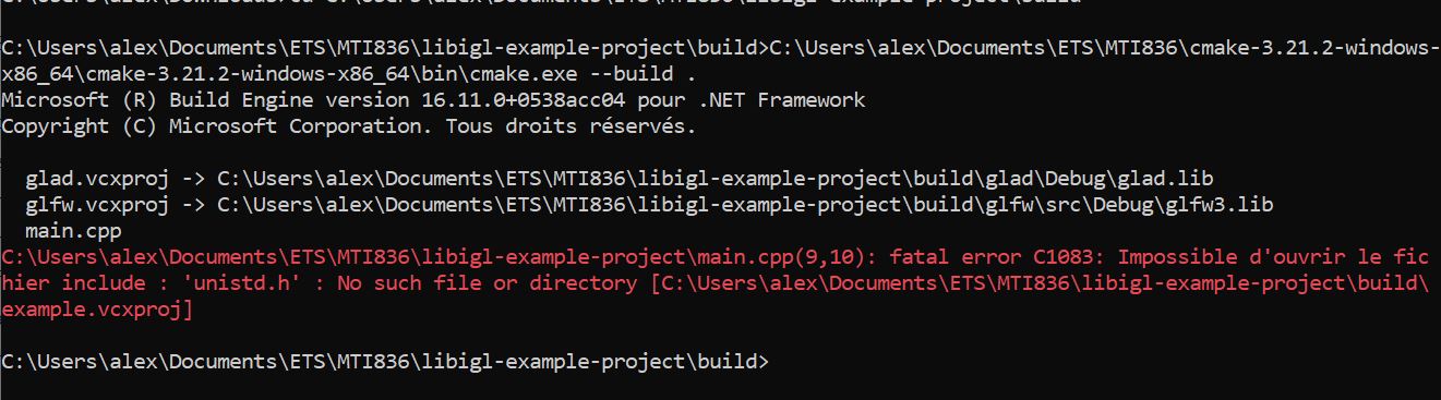S20213-MTI836-01: unistd.h